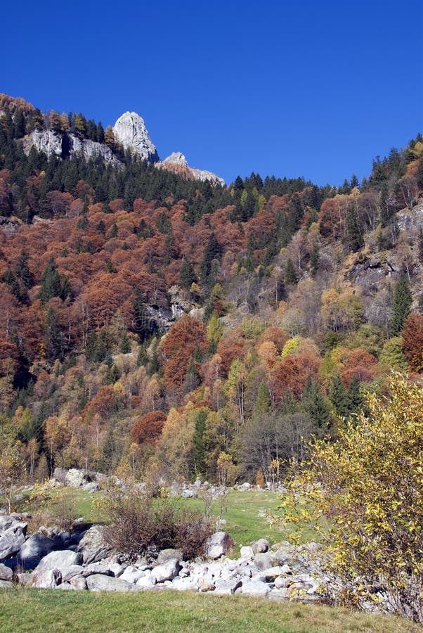 Fall Mountains stock photo. Image of range, trees, mountains - 28202