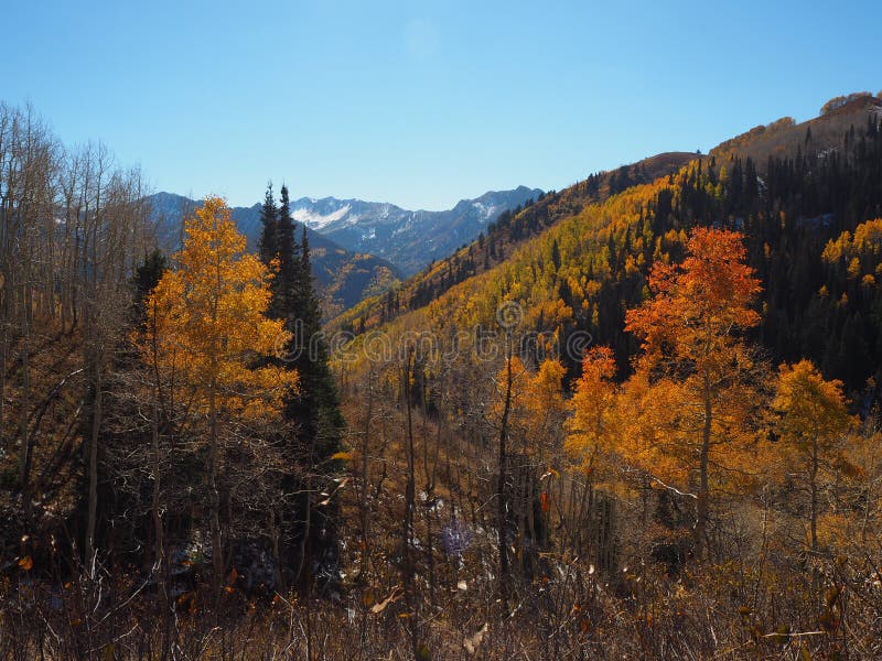 Fall mountains. stock image. Image of autumn, view, forest - 80456809
