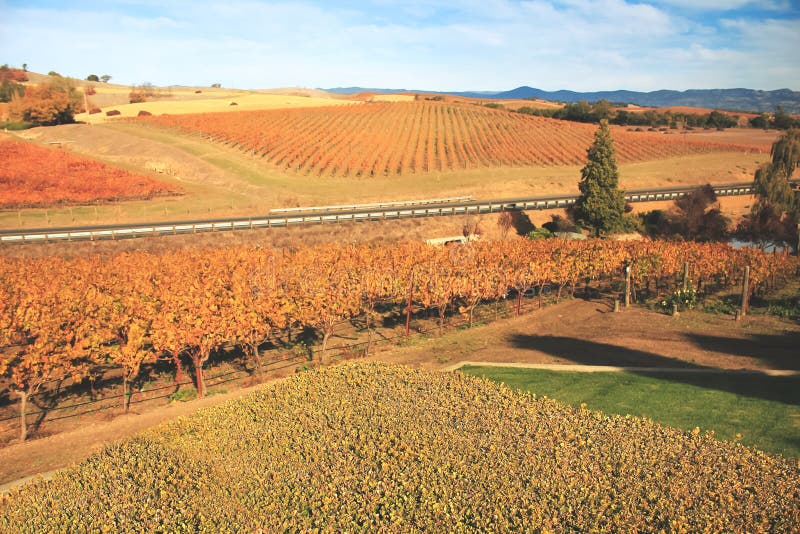 Fall Napa stock image. Image of tasting, cellar, collection - 188251869