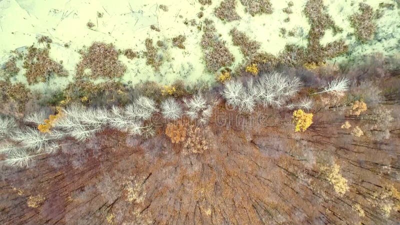 Fall Nature Reserve Drone View Forest Trees Marsh Stock Video - Video ...