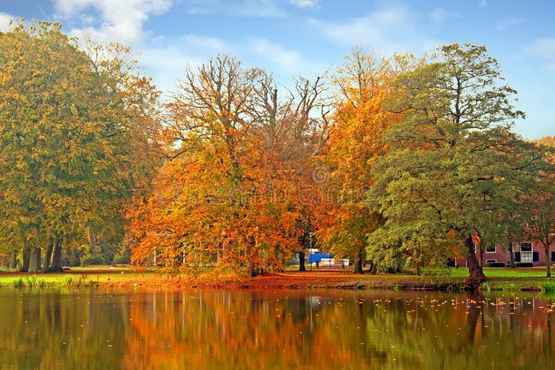 Fall in the Netherlands stock image. Image of tree, water - 101206017