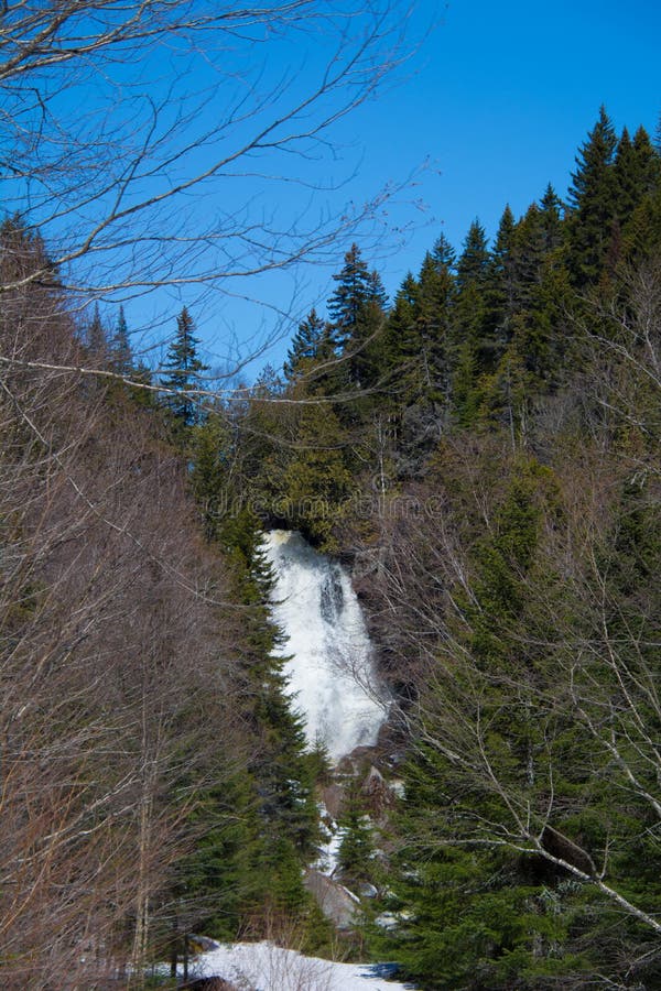 Fall in a Nice Large and Wild River in the Canadian Forest Stock Image ...