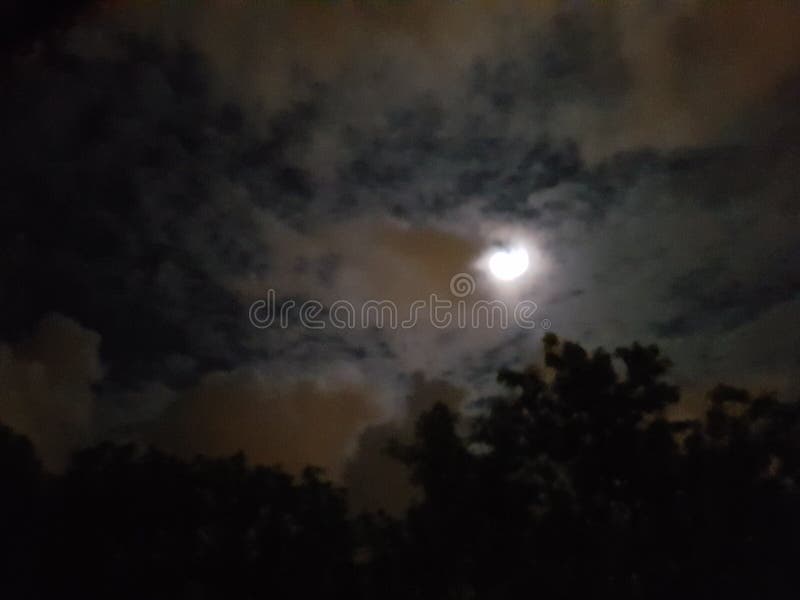 Fall Night Moon Night Light Outdoors Stock Photo - Image of light, fall ...