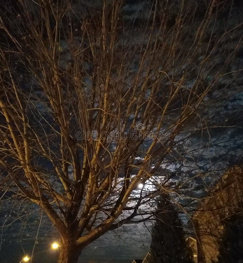 Fall night sky stock photo. Image of fall, night, moon - 129701852