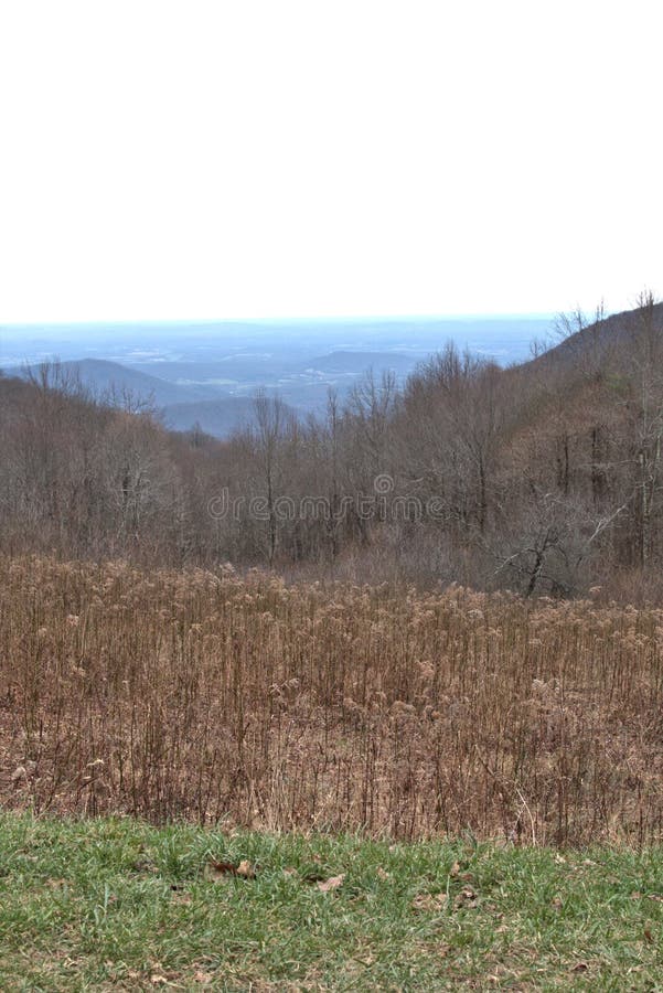 North Carolina Blue Ridge Parkway Spring Flowers Scenic Mountain Stock ...