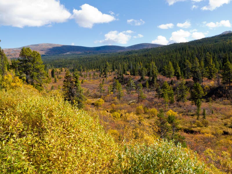 Fall in Northern Wilderness, Yukon T, Canada Stock Photo - Image of ...