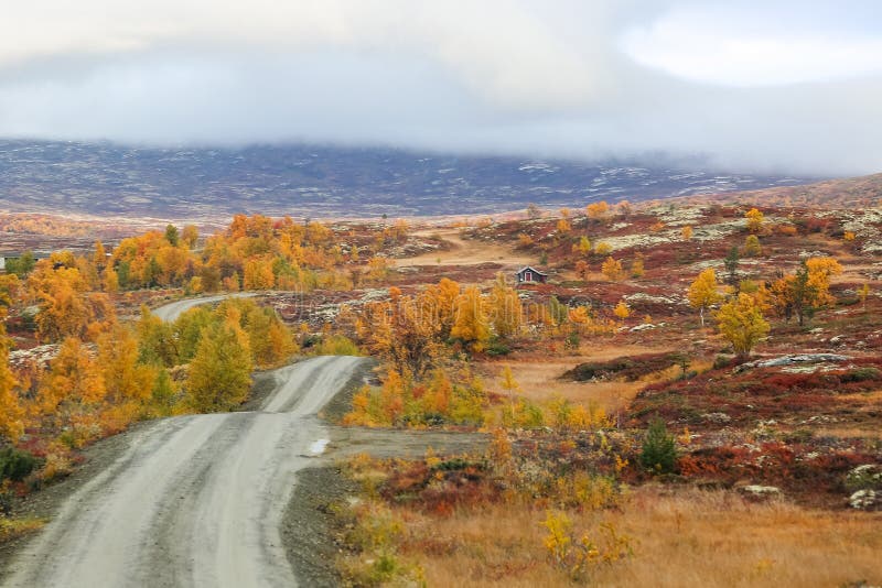 Fall in norway stock image. Image of park, snow, weather - 197474643