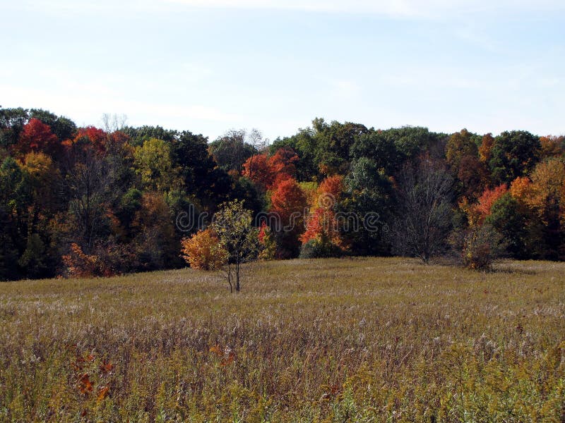 Fall in Ohio stock image. Image of changing, ohio, autumn - 69693171