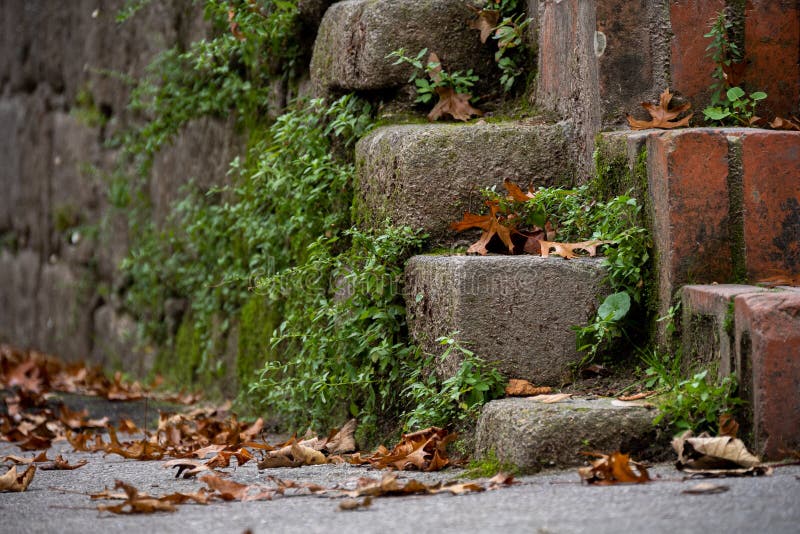 Fall Orange Leaves and Green Plants on Medieval Stones in a Park. Stock ...