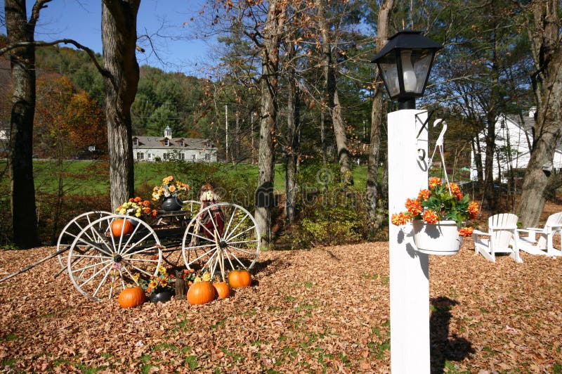 Outdoor Fall Scene stock photo. Image of flowers, green - 11232448