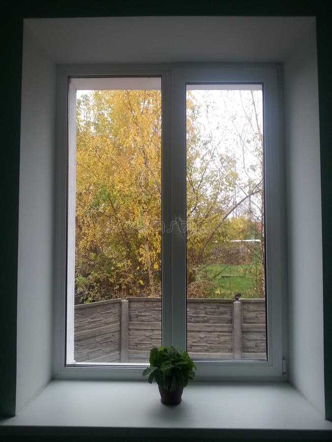 Fall outside the window editorial image. Image of outside - 46603325