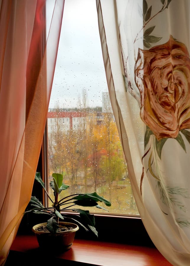 Fall outside the window stock image. Image of rainy, curtain - 35049273