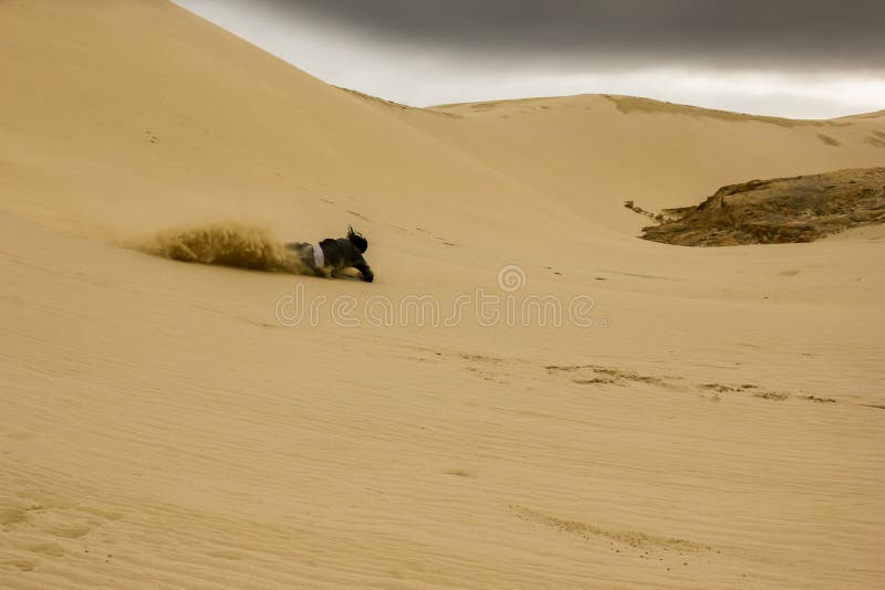 Fall Over . a Man Falling Down in the Sand Dunes while Sand Surfing ...
