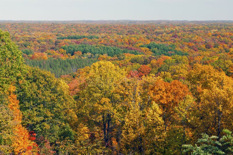 Fall Panorama in a Midwest Forest Stock Image - Image of fall, view ...