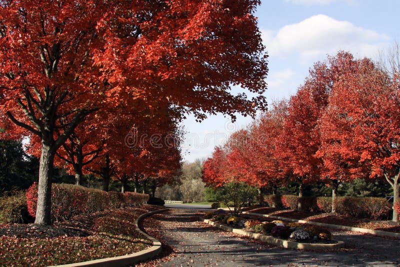 Fall in the park stock image. Image of fresh, landscape - 7131961