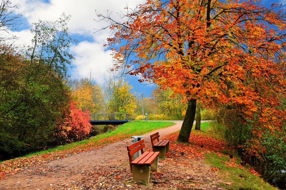 Autumn Landscape Background. Stock Photo - Image of autumn, idyllic ...