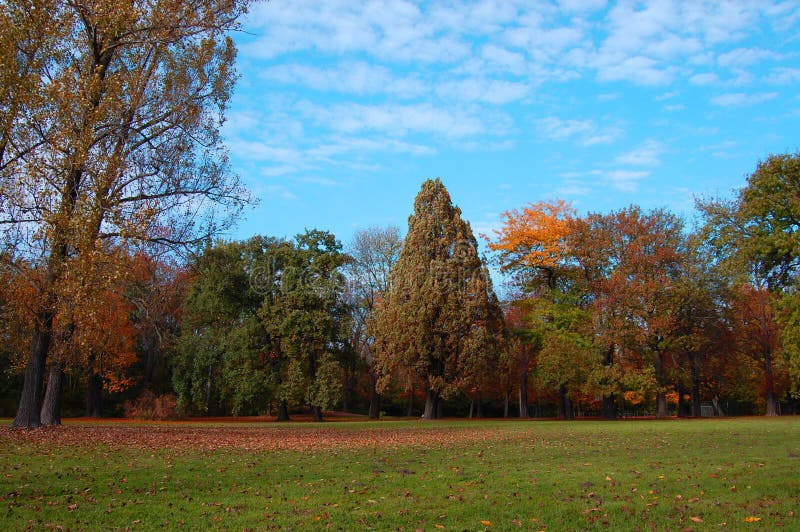Fall in the Park with Green Trees Under Blue Sky Stock Image - Image of ...