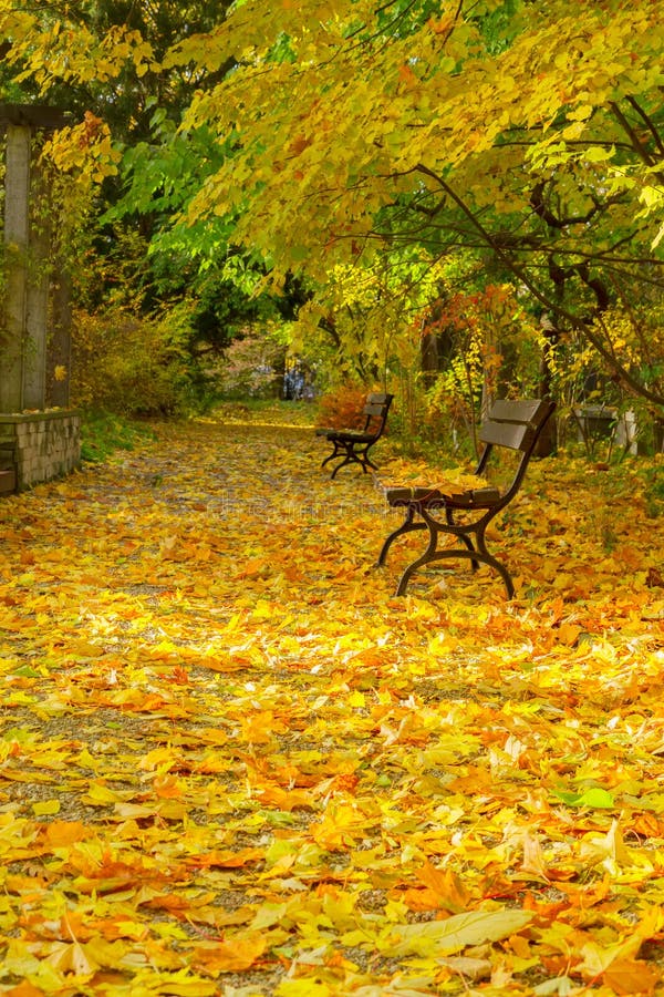 Fall park path stock image. Image of pathway, color, october - 75287197