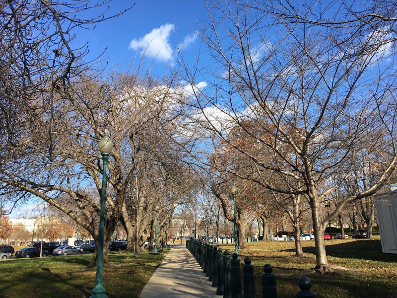 Fall in the Park with a Sidewalk Stock Image - Image of autumn, bright ...