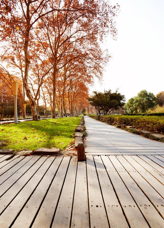 Fall path stock image. Image of brown, orange, walkway - 23291923