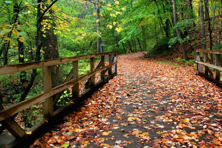 Fall Path stock image. Image of landscape, beauty, bridge - 6859507