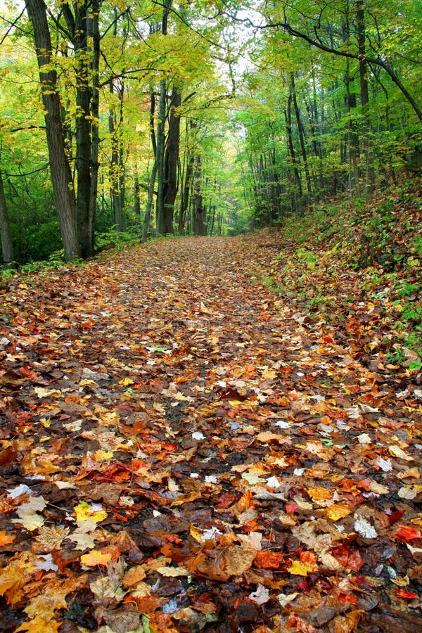 Fall Colors stock image. Image of outdoors, text, nature - 3591121