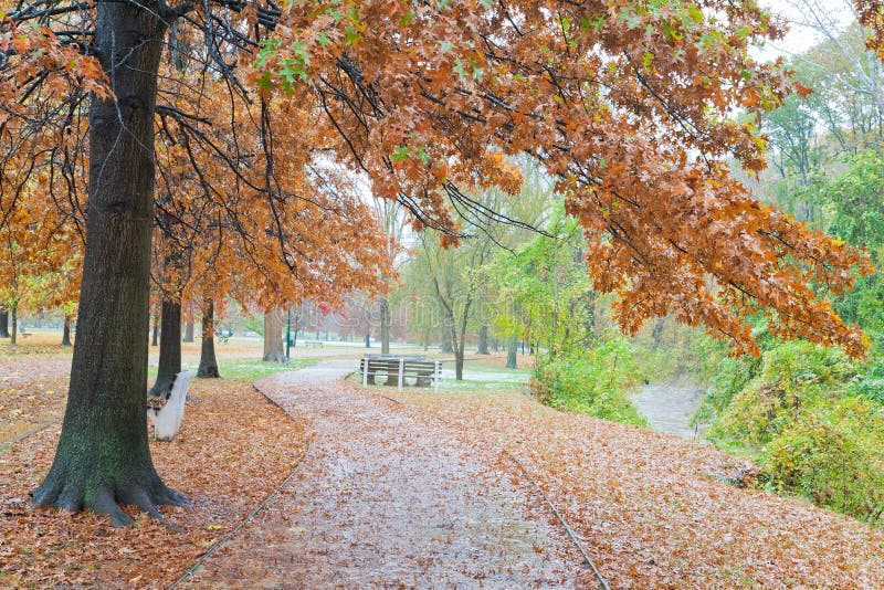 Fall Path by the Creek stock photo. Image of fall, gold - 27413566