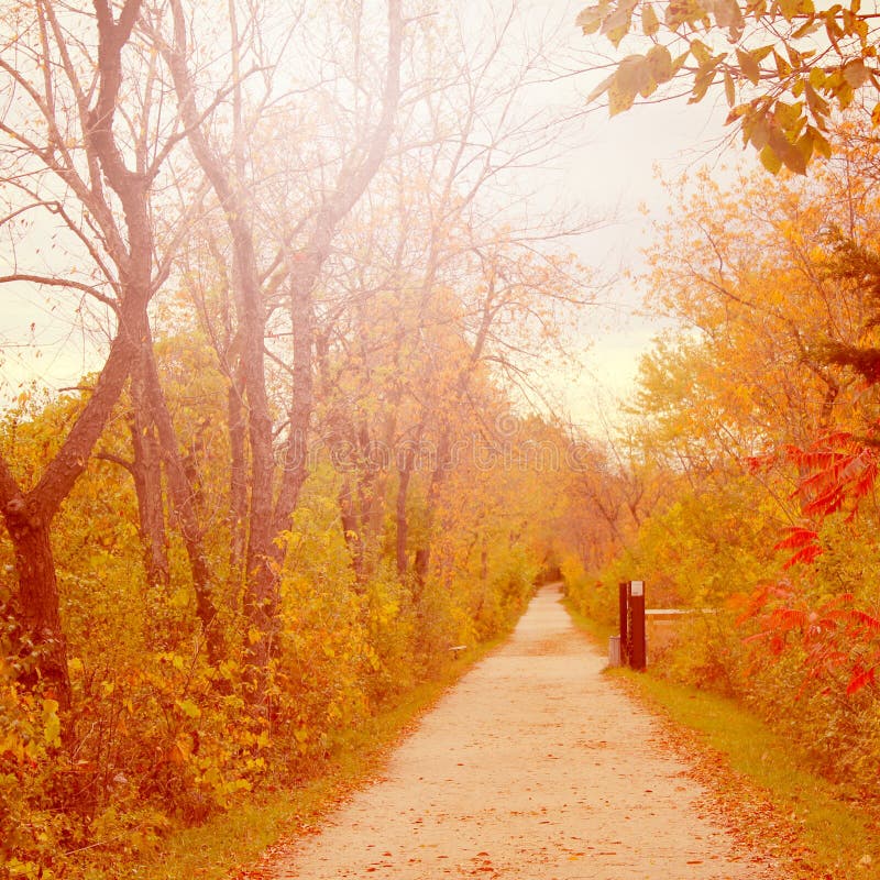 Fall Path Picture. Image: 33575604