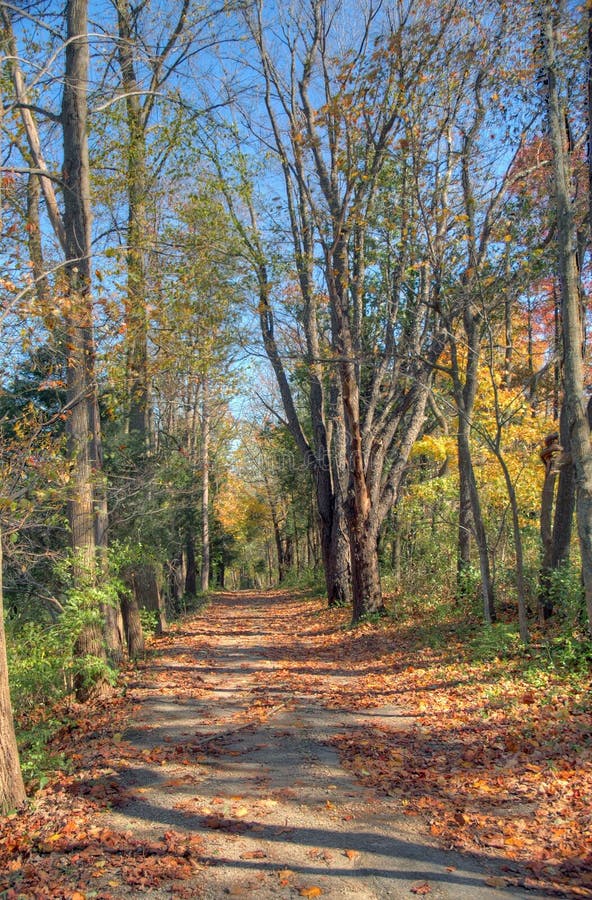 Path stock image. Image of wilderness, exploration, park - 175339
