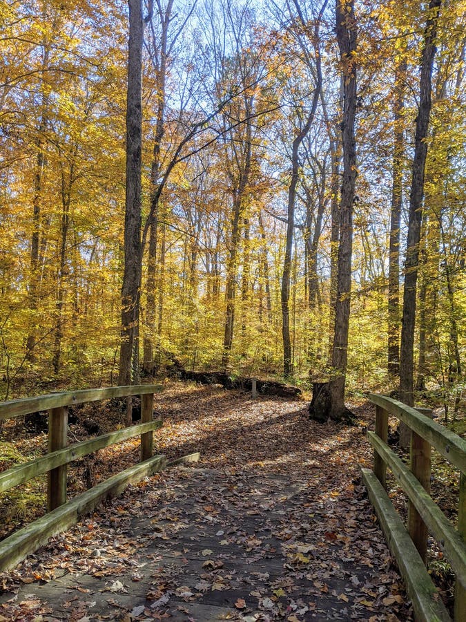 Fall path through the park stock photo. Image of bright - 196061622