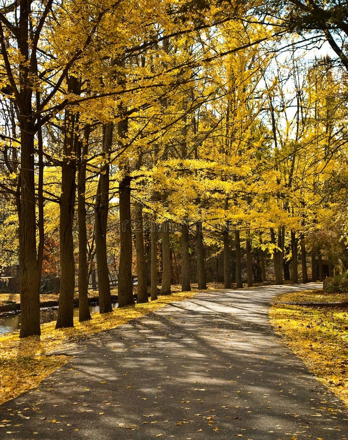Hoopes Falls in the Autumn stock photo. Image of foliage - 45501500
