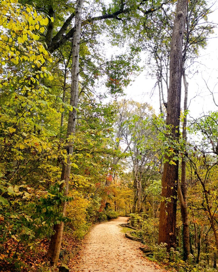 Fall Path stock photo. Image of side, hiking, brightly - 79078922
