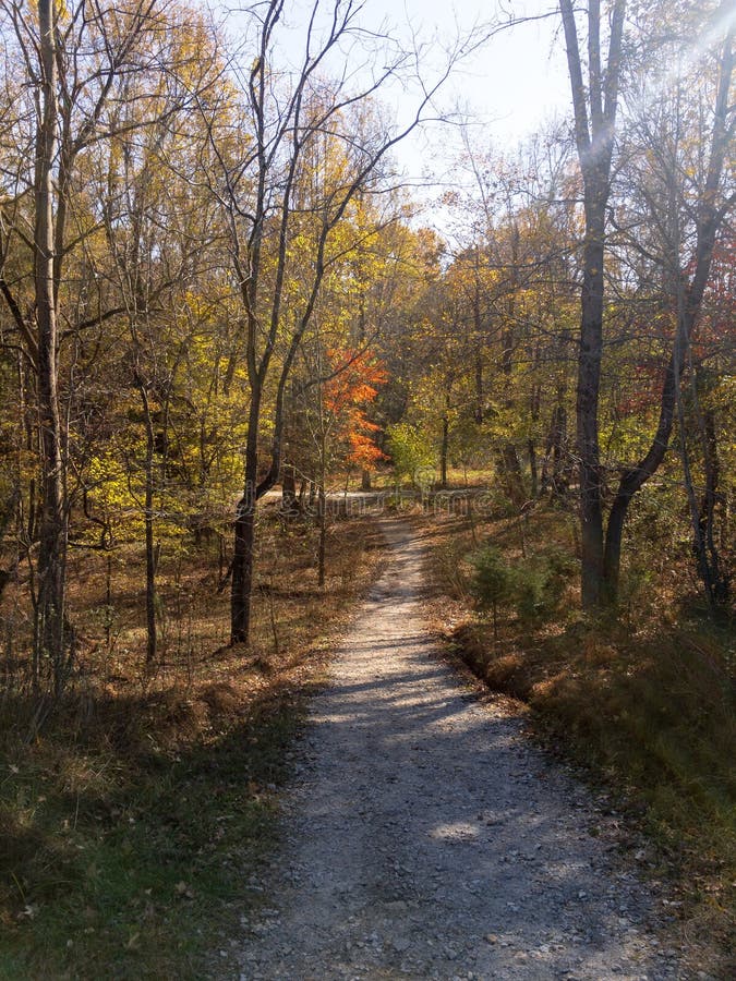 Fall Paths Can Lead To Beautiful Destinations Stock Photo - Image of ...