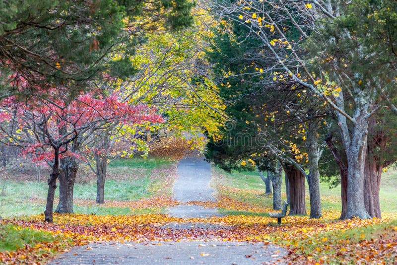 Fall Pathway stock photo. Image of beautiful, multiple - 67848288