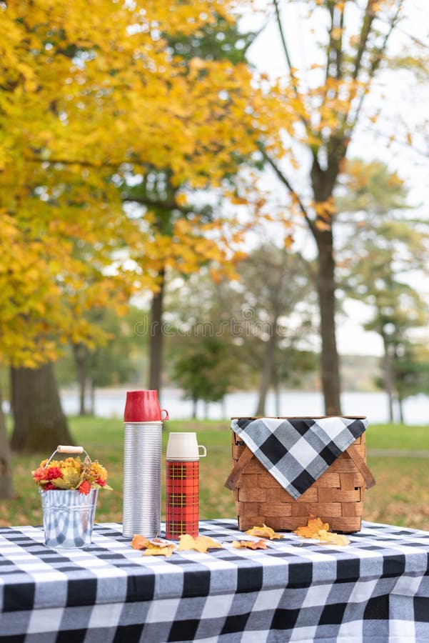Fall picnic at the lake stock photo. Image of fall, picnic - 161986428