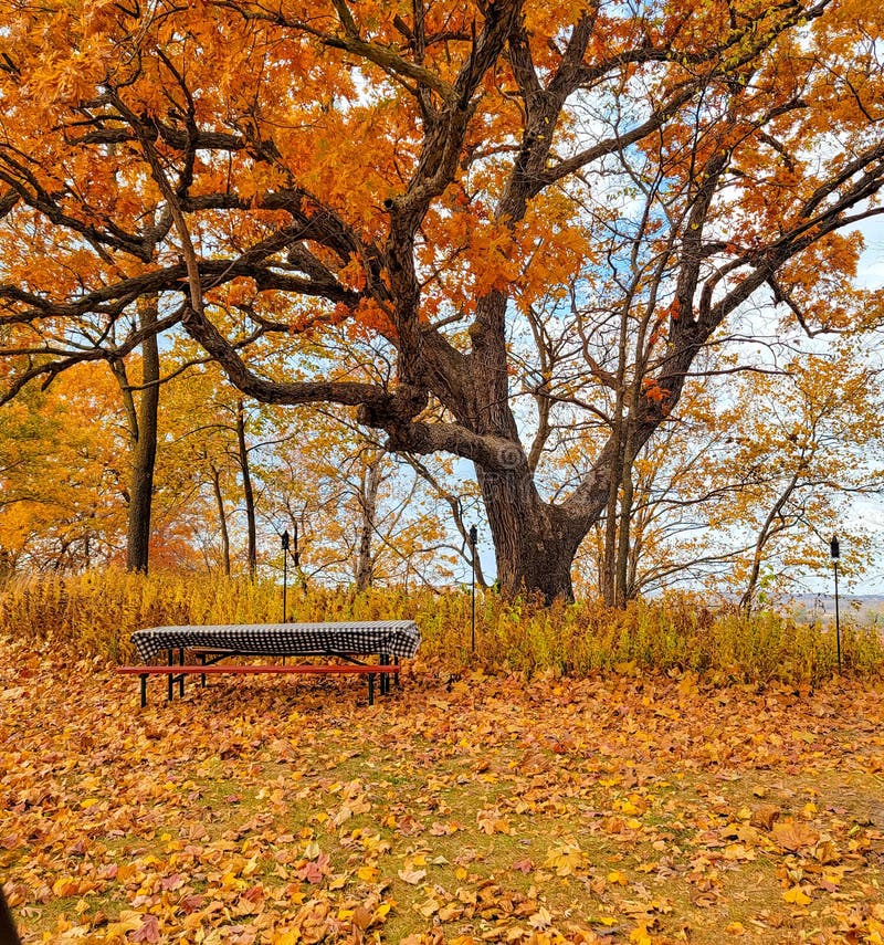A Fall Picnic Spot on a Beautiful Day. in the Midwest. Iowa in the Fall ...