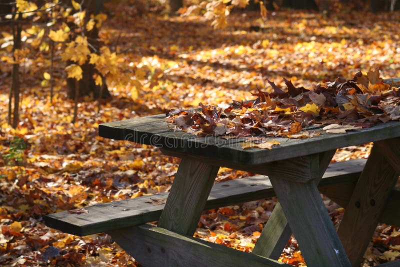 Fall Picnic Table stock photo. Image of november, nature - 8402446
