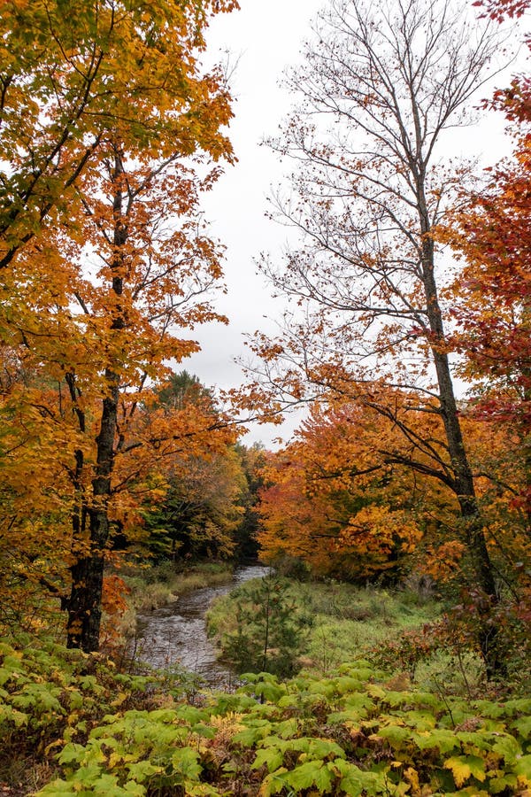 Fall Pilgrim River - Houghton, Michigan Stock Photo - Image of natural ...