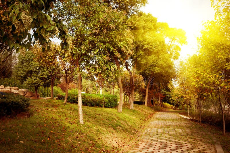 Fall plants stock image. Image of environment, nature - 22550221