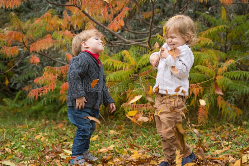 Fall playing stock image. Image of leaf, child, cute - 61367303