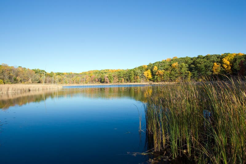 Trees During Fall Picture. Image: 109912600