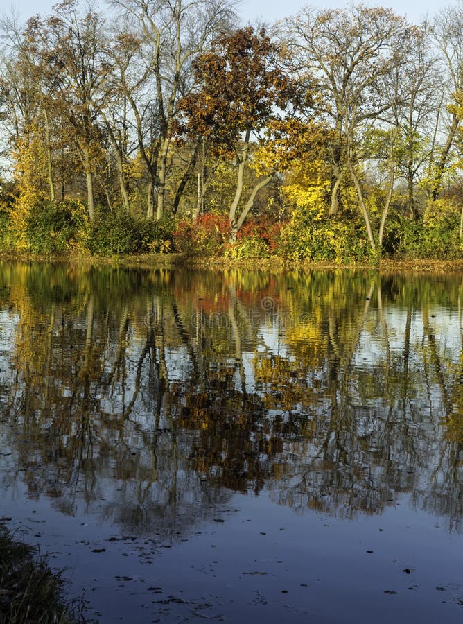 Fall Pond stock image. Image of natural, outdoors, season - 47377033