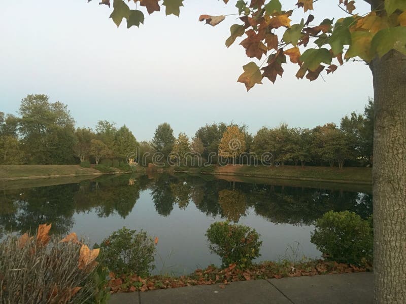 Fall at the Pond stock image. Image of peaceful, pond - 100141207