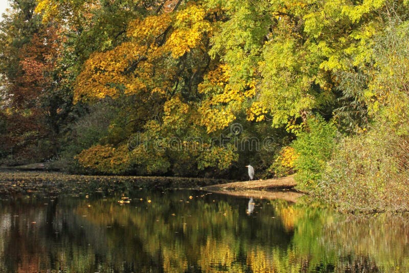 A Fall Day by the Pond stock image. Image of park, boulder - 277935
