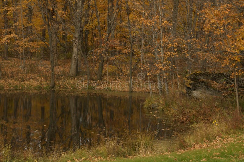 Fall pond stock photo. Image of grass, scenic, quiet - 78647358