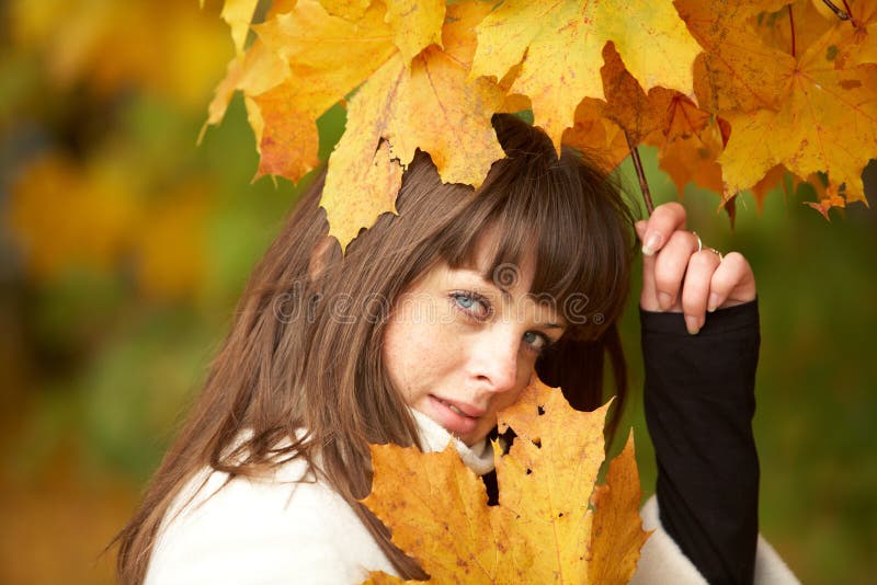 Fall Portrait of a Beautiful Woman Stock Photo - Image of clothing ...