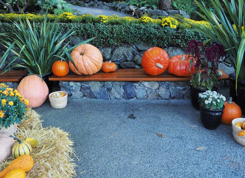 Fall Produce on a Thanksgiving Display Stock Image - Image of pumpkin ...