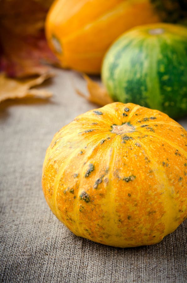 Fall Pumpkin and Decorative Squash with Autumn Leaves on a Linen ...