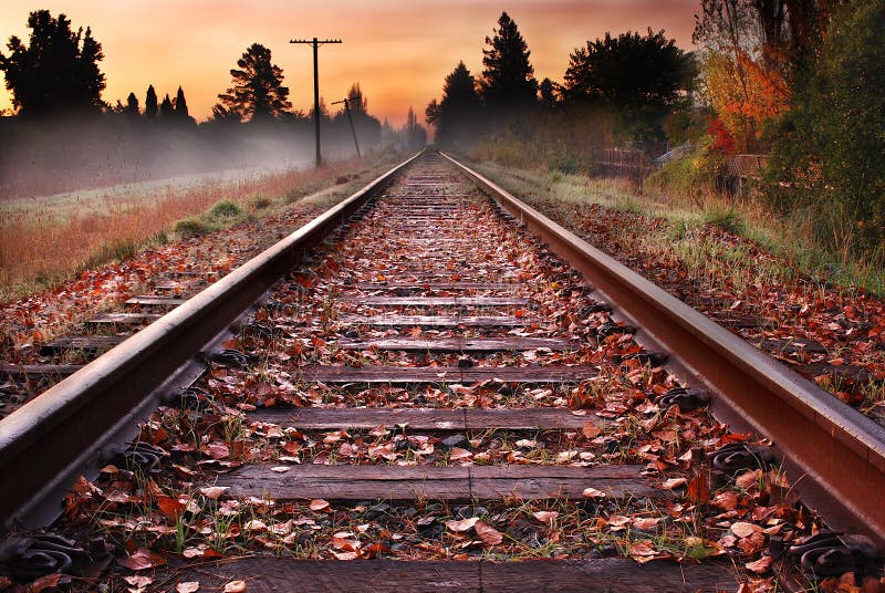Fall Railroad stock image. Image of fall, lines, polls - 12110217