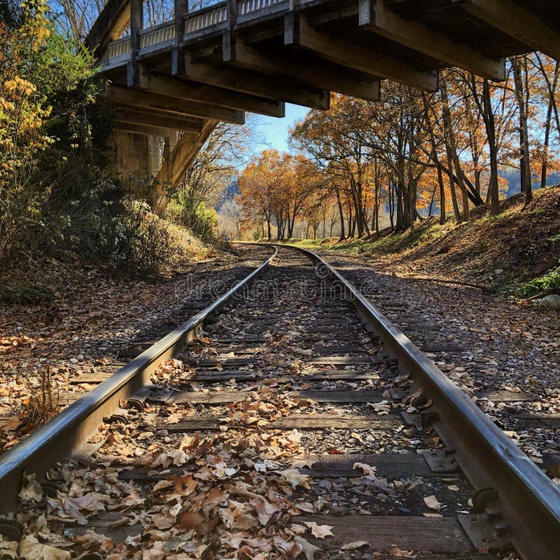 Fall Railroad stock image. Image of runs, trees, railroad - 159117475